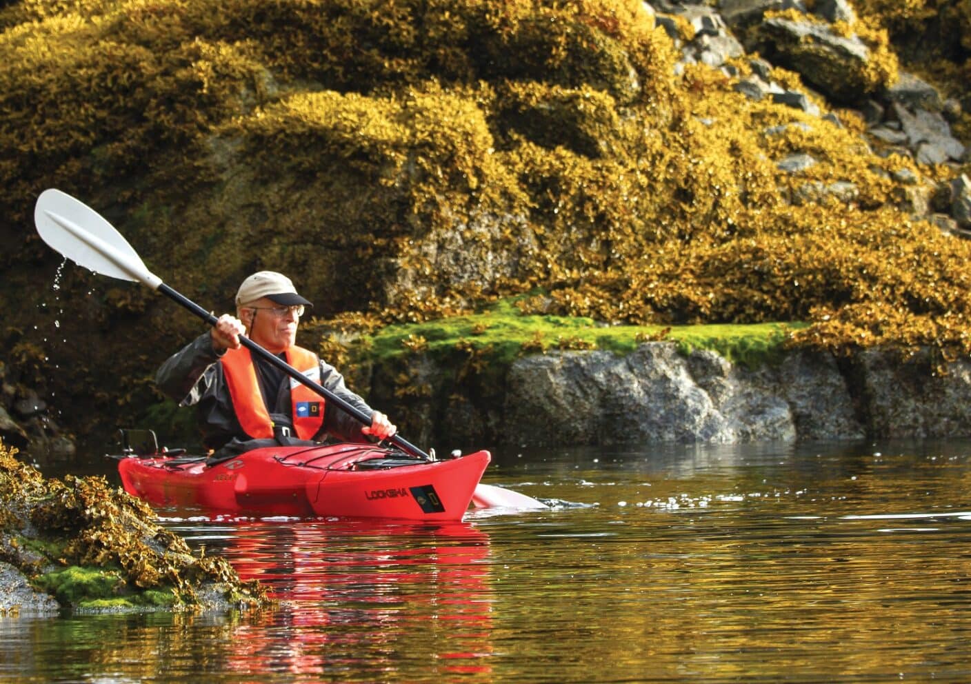 Alaska Anew: Navigating the Wilderness by Sea and Celebrating Life's ...