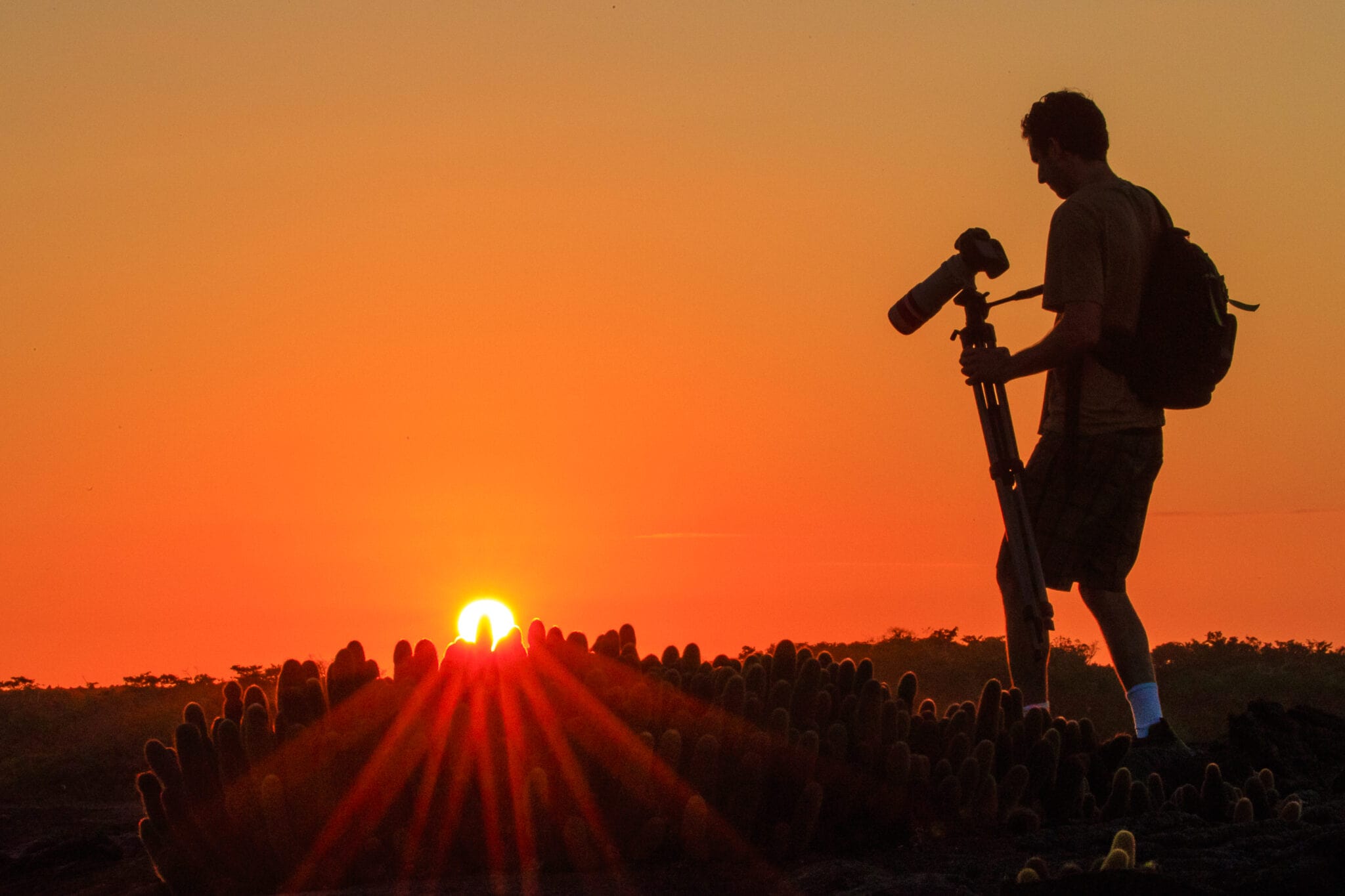 Adventures & Expedition Cruise Planning | Expedition Trips