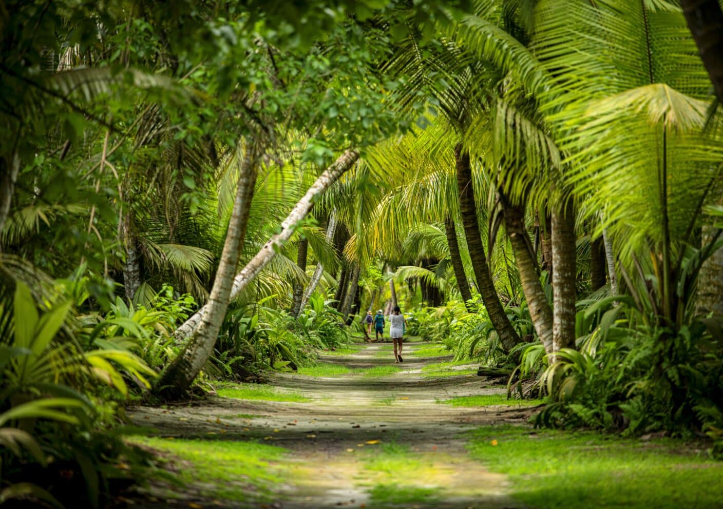 Madagascar and Seychelles Cruise | Expedition Trips